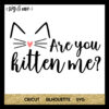 Are You Kitten Me? - SVG & Me